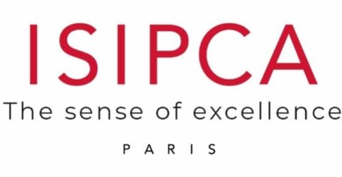 French Touch & Business Summer Schools 2025 - Join a school in France